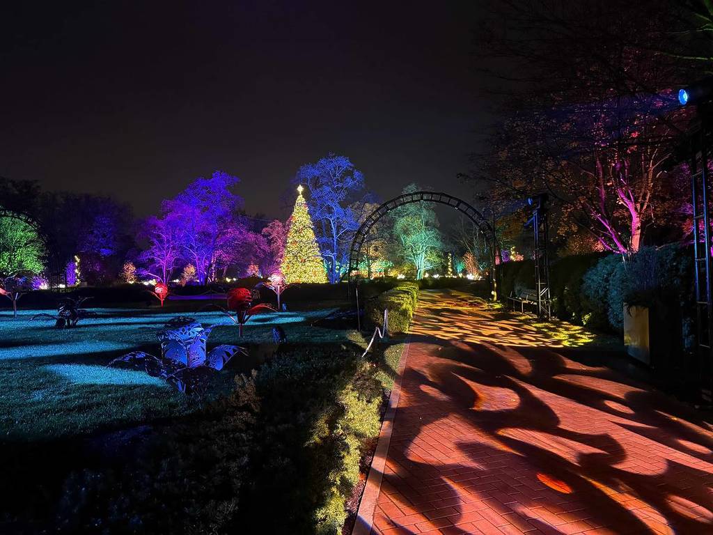 Only 1 Hour From Chicago—a Stunning Movie-Themed Light Show With Ice ...