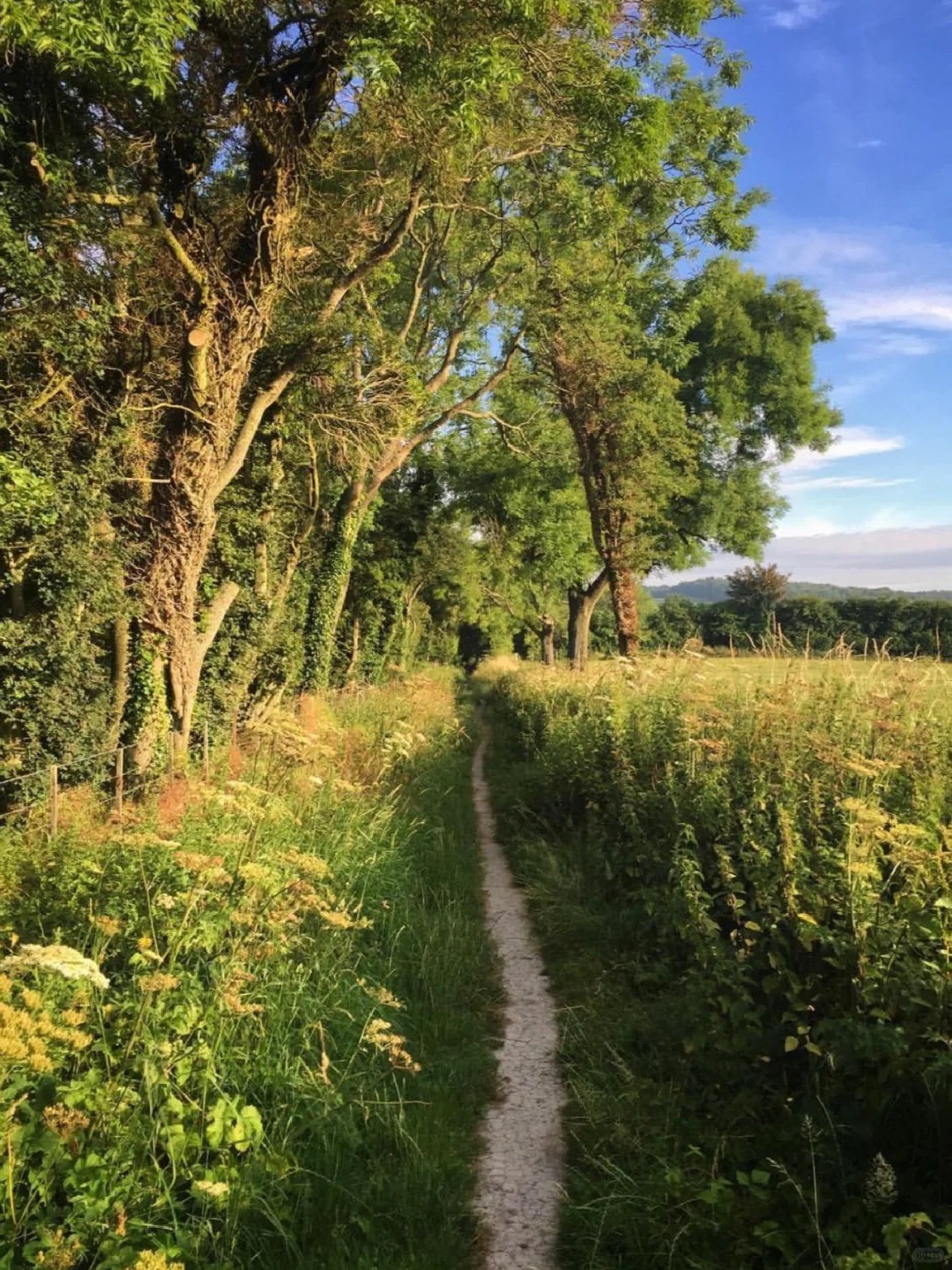 The Ultimate Weekend Oxygen Boost Near Birmingham by Skylar Mitchell ...
