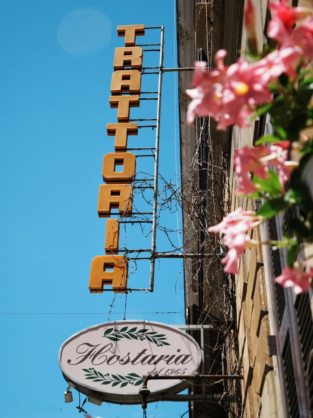 La Vecchia Conca | Relieve Your Anxiety at This Roman Restaurant 🍋 by ...