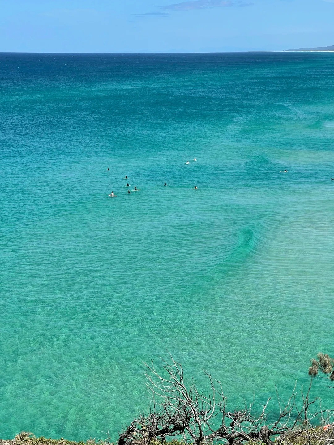 Brisbane North Island Day Trip 🩵🏝️🏄🏻‍♀️ Super Beautiful Jelly Sea by ...