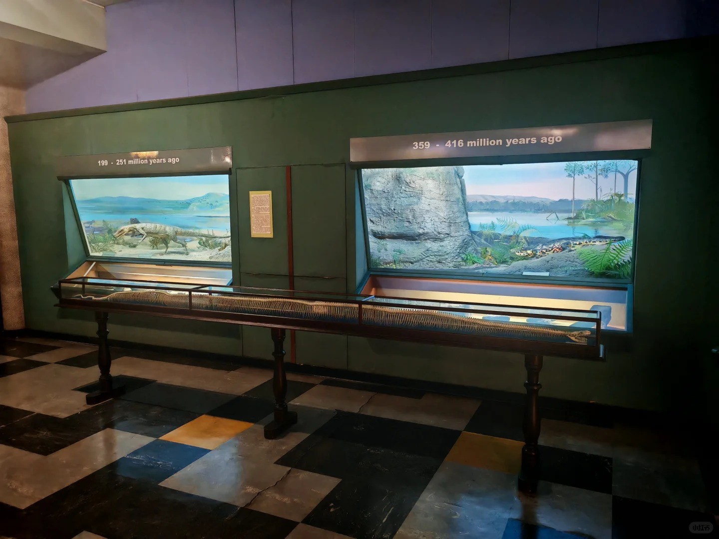 Port Elizabeth Museum Guide 🏛️🔍 by Sophia Johnson | WanderBoat AI Trip ...
